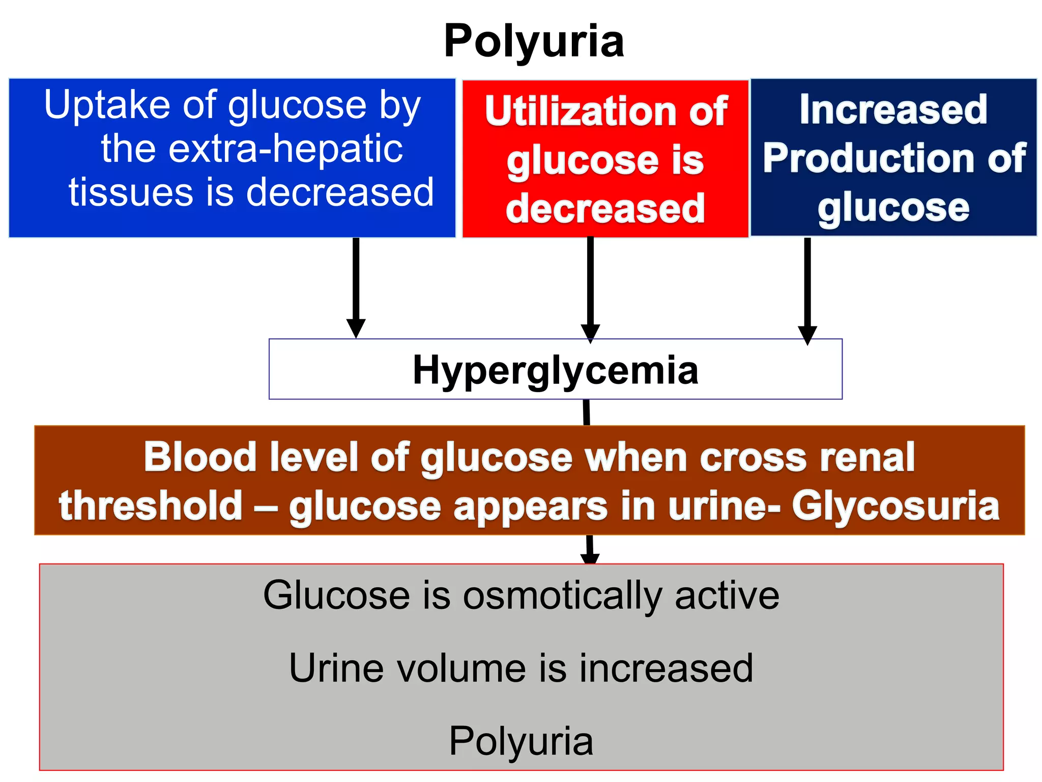 Diabetes mellitus Biochemistry By Dr. Ashok KUmar Jeppu | PDF