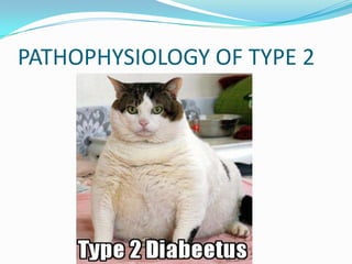 Diabeetus Cat Meme