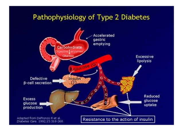 Diabetes Mellitus & Nurses Role | PPTX | Diabetes | Diseases and Conditions