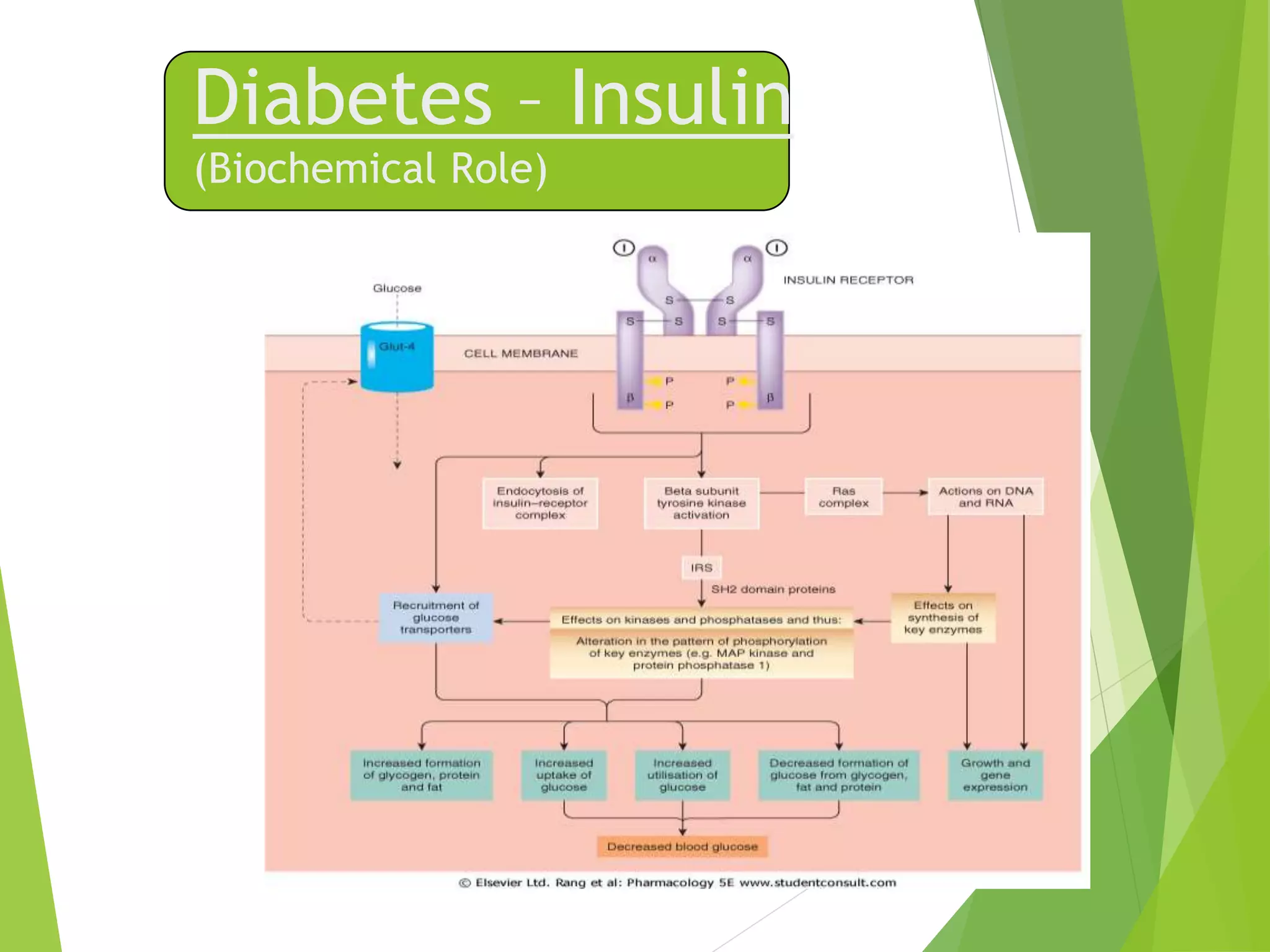 Diabetes mellitus overview and treatments | PPTX | Diabetes | Diseases ...