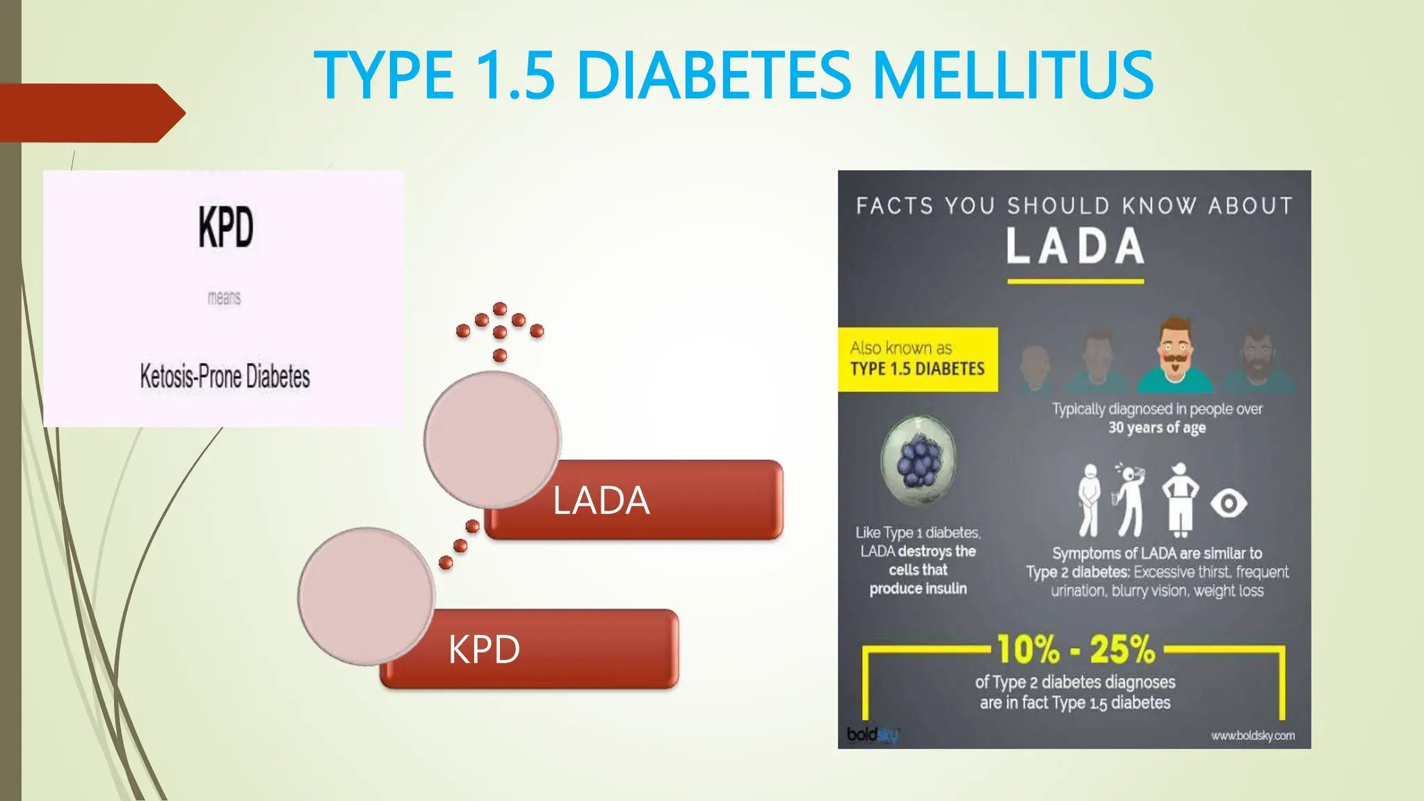 Diabetes Mellitus Etiology and Pathophysiology | PPTX