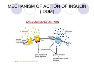 diabetesmellitusppt-181120152616. Detailed studyppt | PPT