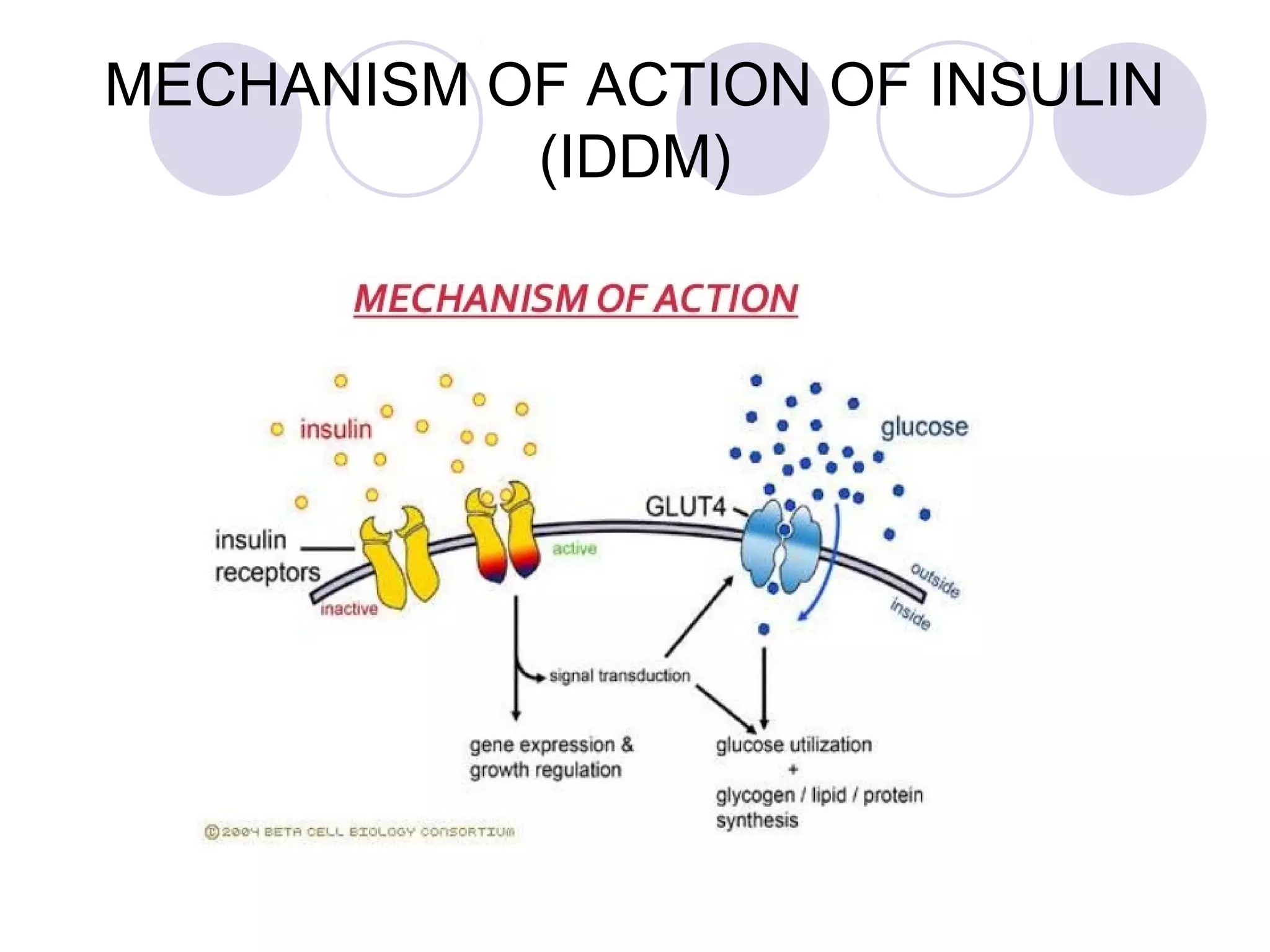 Diabetes mellitus -INTRODUCTION,TYPES OF DIABETES MELLITUS | PPT