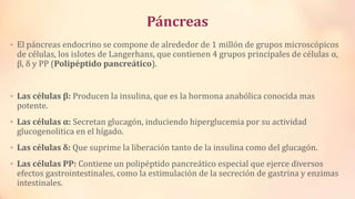 Diabetes mellitus tipo 1 | PPTX