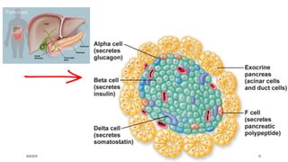 Diabetes Mellitus & Wedica | PPTX