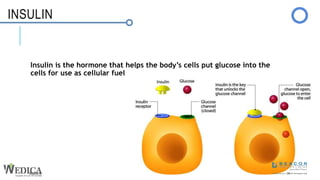 Diabetes Mellitus & Wedica | PPTX