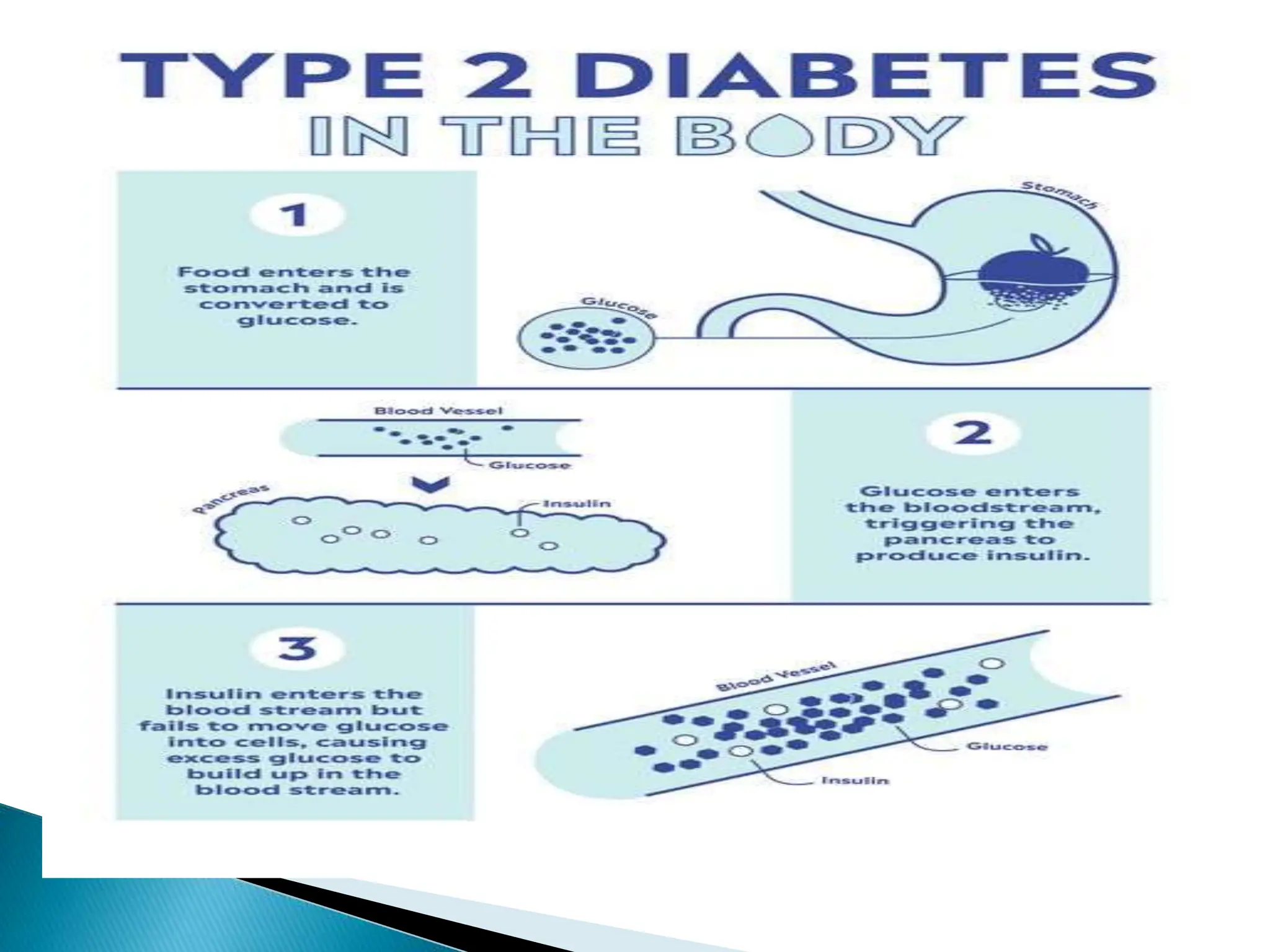 diabetes and exercise, Physiotherapy.pptx