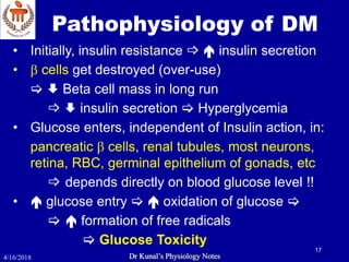 Diabetes (Pathophysiology) by Dr Kunal.pdf | Diabetes | Diseases and ...