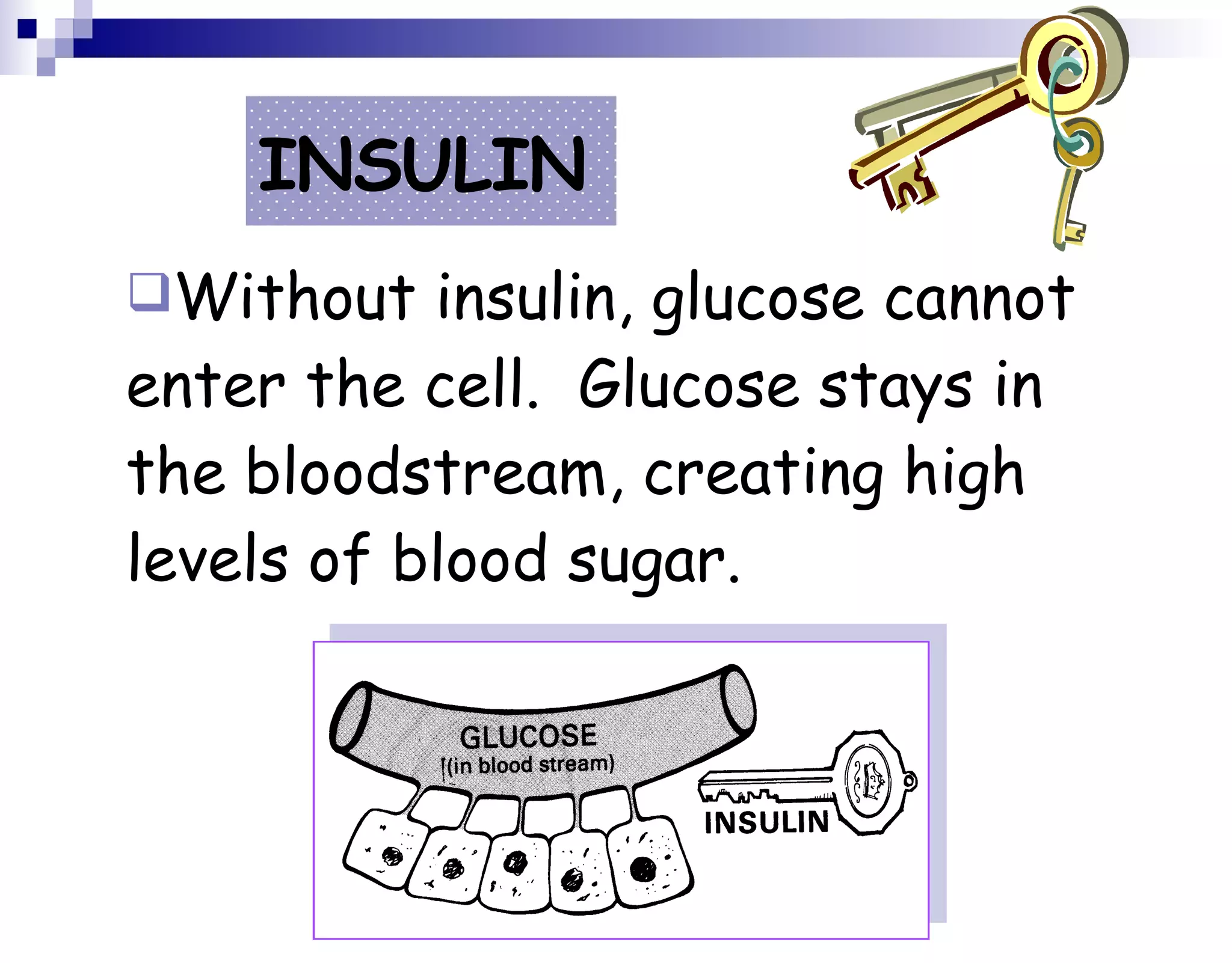 Diabetes Poster | PPT