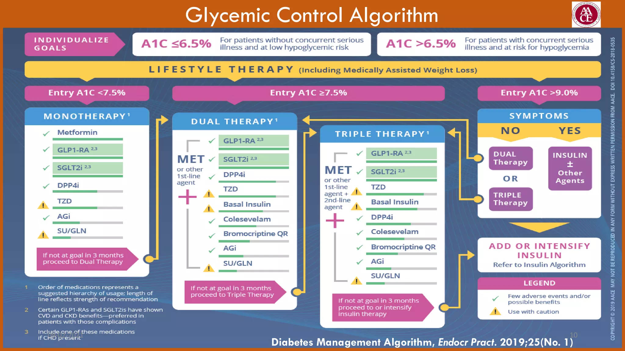 Type 2 Diabetes protocol | PDF