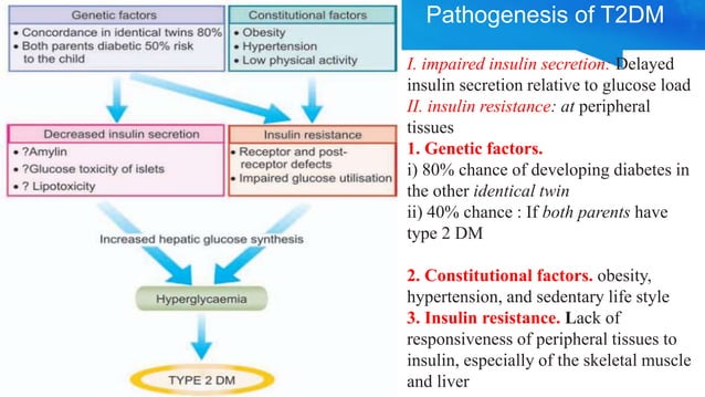Diabetes mellitus pathophysiology | PPTX
