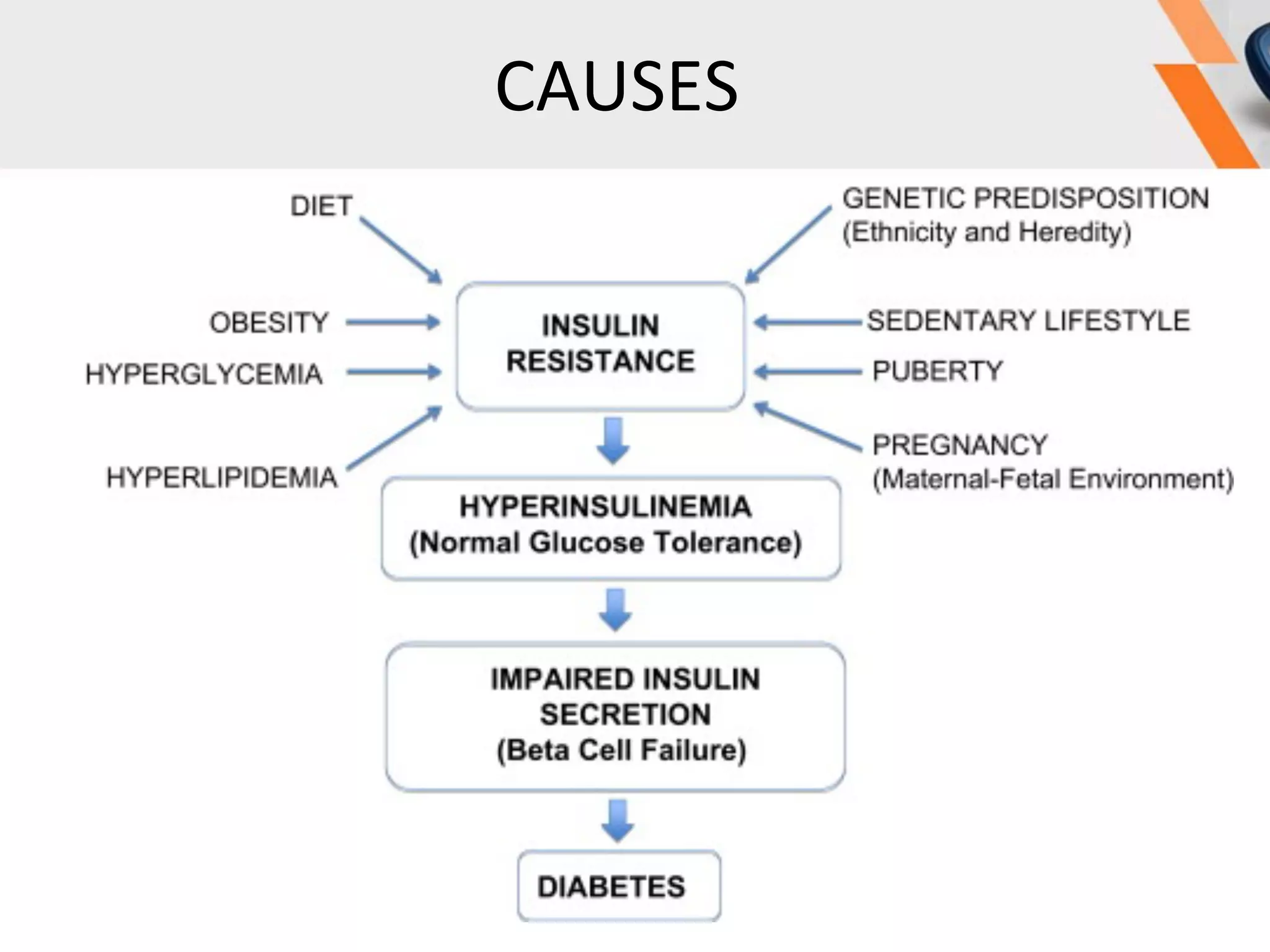 Introduction to type 2 diabetes and classification of OHAs | PDF