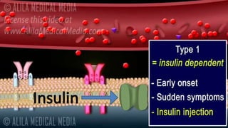 Diabetes solution | PPT