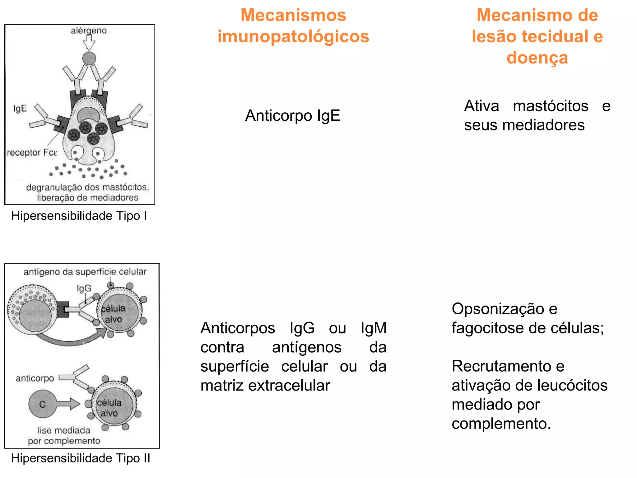 Diabetes tipo I e a hipersensibilidade tipo IV | PPT | Medical Health