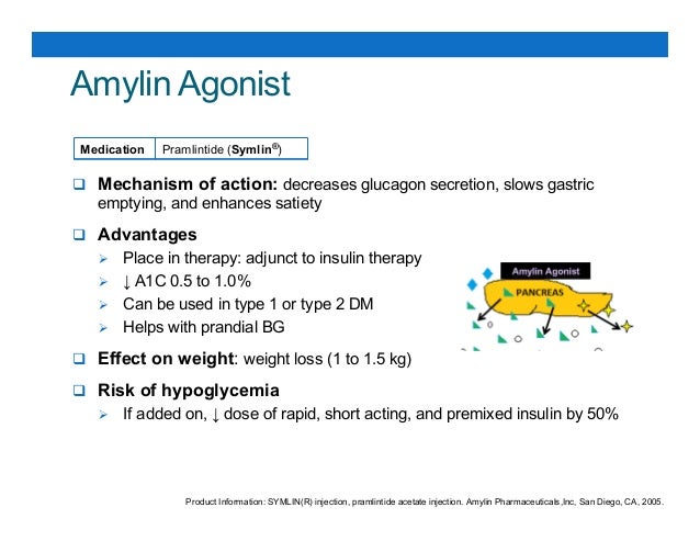 Amylin Mechanism Of Action