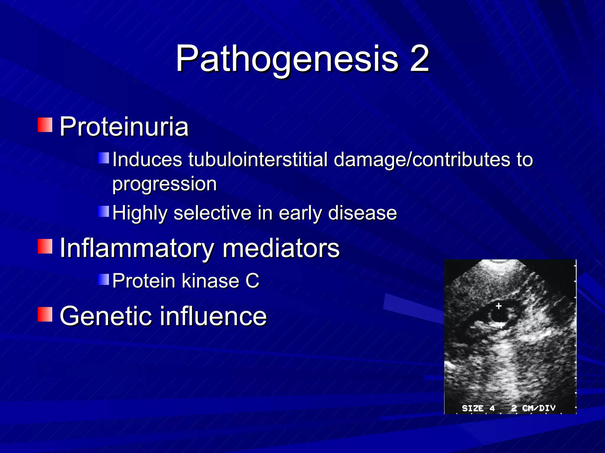Diabetic Nephropathy | PPT