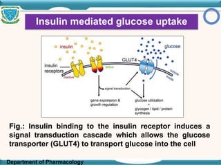 Diabetic and antidiabetic drugs | PPTX