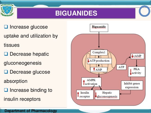 Diabetic and antidiabetic drugs