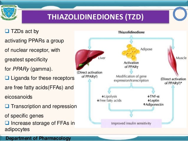 Diabetic and antidiabetic drugs