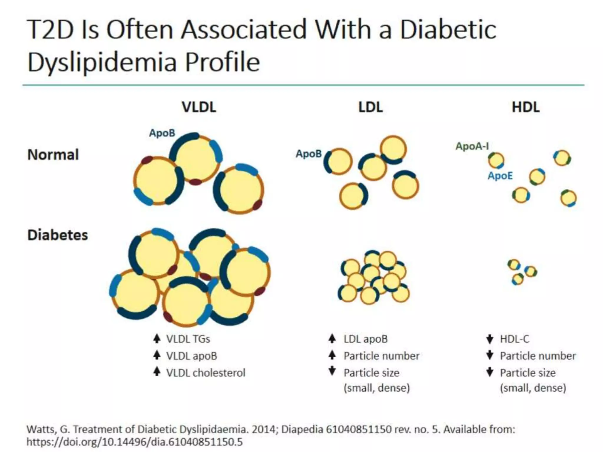 Diabetic dyslipidemia and residual risk by Dr. Vaibhav Yawalkar MD DM ...