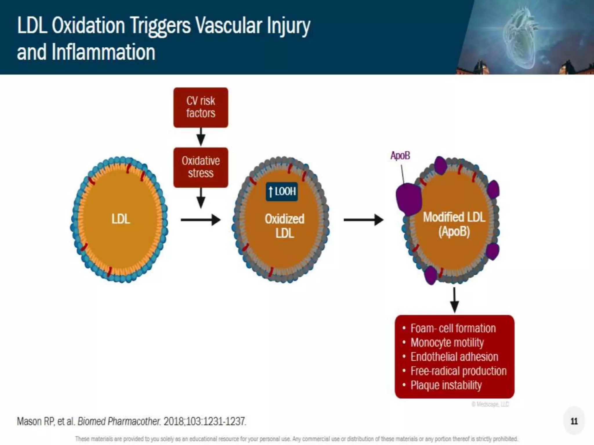 Diabetic dyslipidemia and residual risk by Dr. Vaibhav Yawalkar MD DM ...