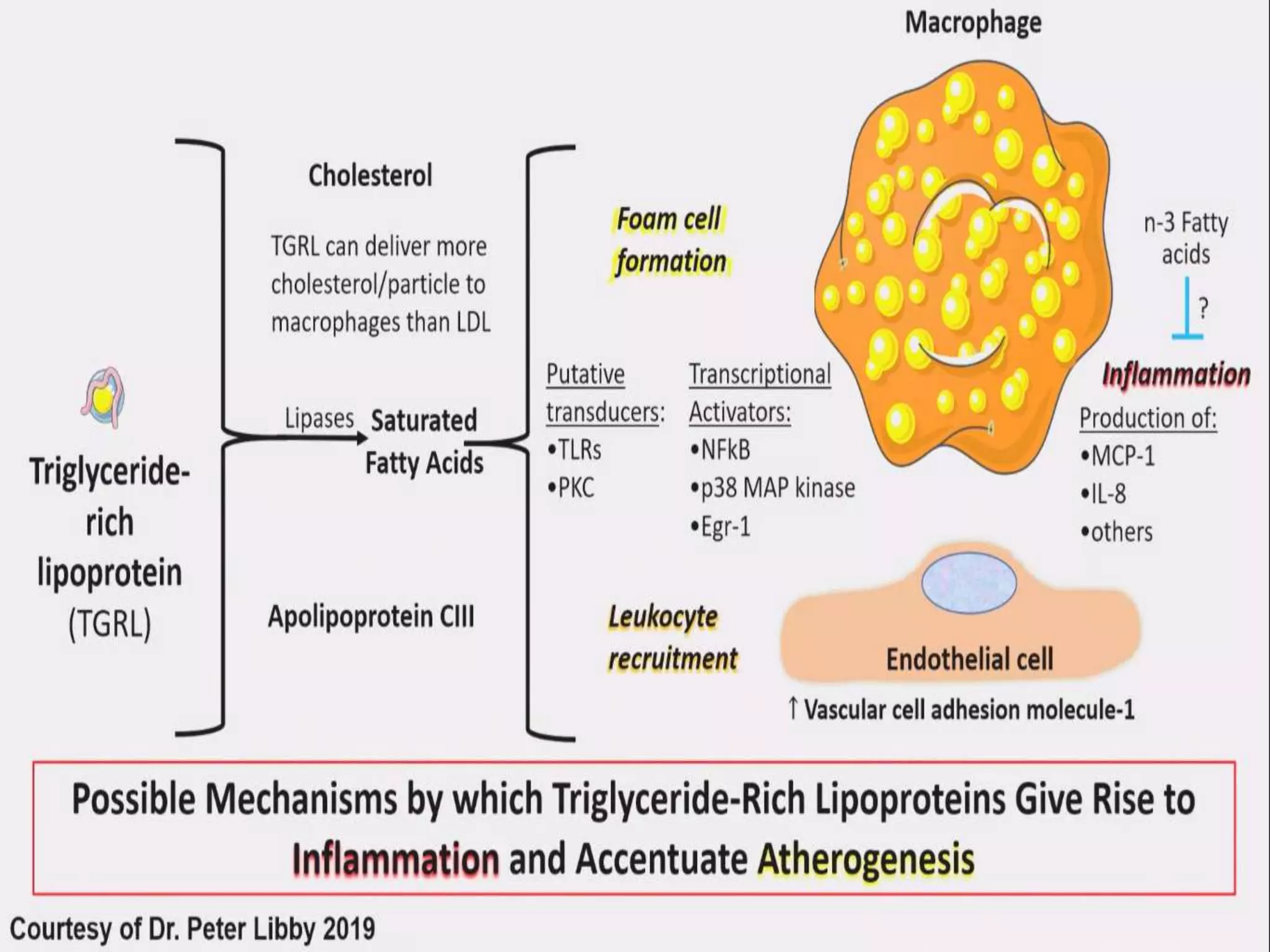 Diabetic dyslipidemia and residual risk by Dr. Vaibhav Yawalkar MD DM ...