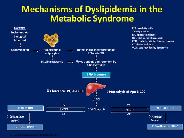 Diabetic dyslipidemia and residual risk by Dr. Vaibhav Yawalkar MD DM ...