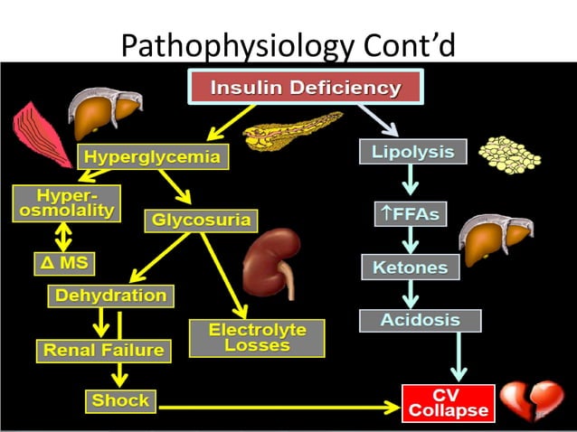 Diabetic emergencies | PDF