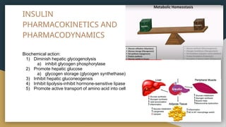 Diabetic emergencies and insulin class.pptx