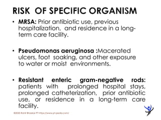 Diabetic Foot - Dr Rohit Bhaskar | PPT