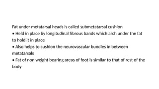 DIABETIC FOOT. Anatomy, physiology, risk factors and management | PPTX