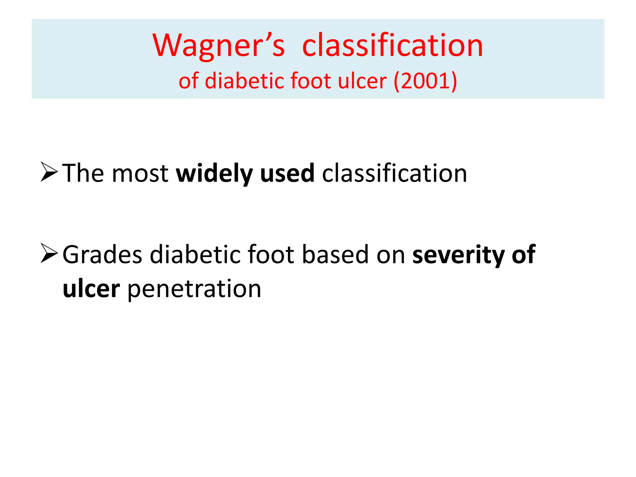 Diabetic foot Wilson N. M.D. MBBS | PPTX
