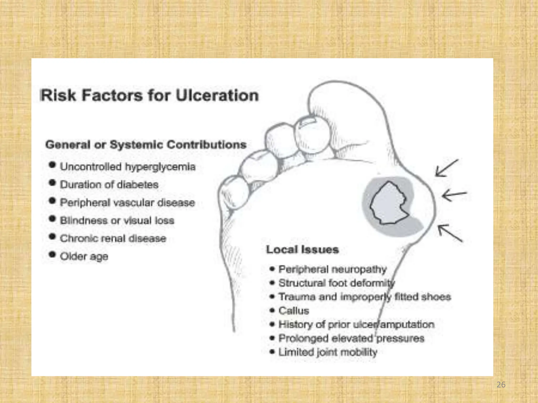 Diabetic Foot 1 - Intro, foot anat & Pathophysio.pptx