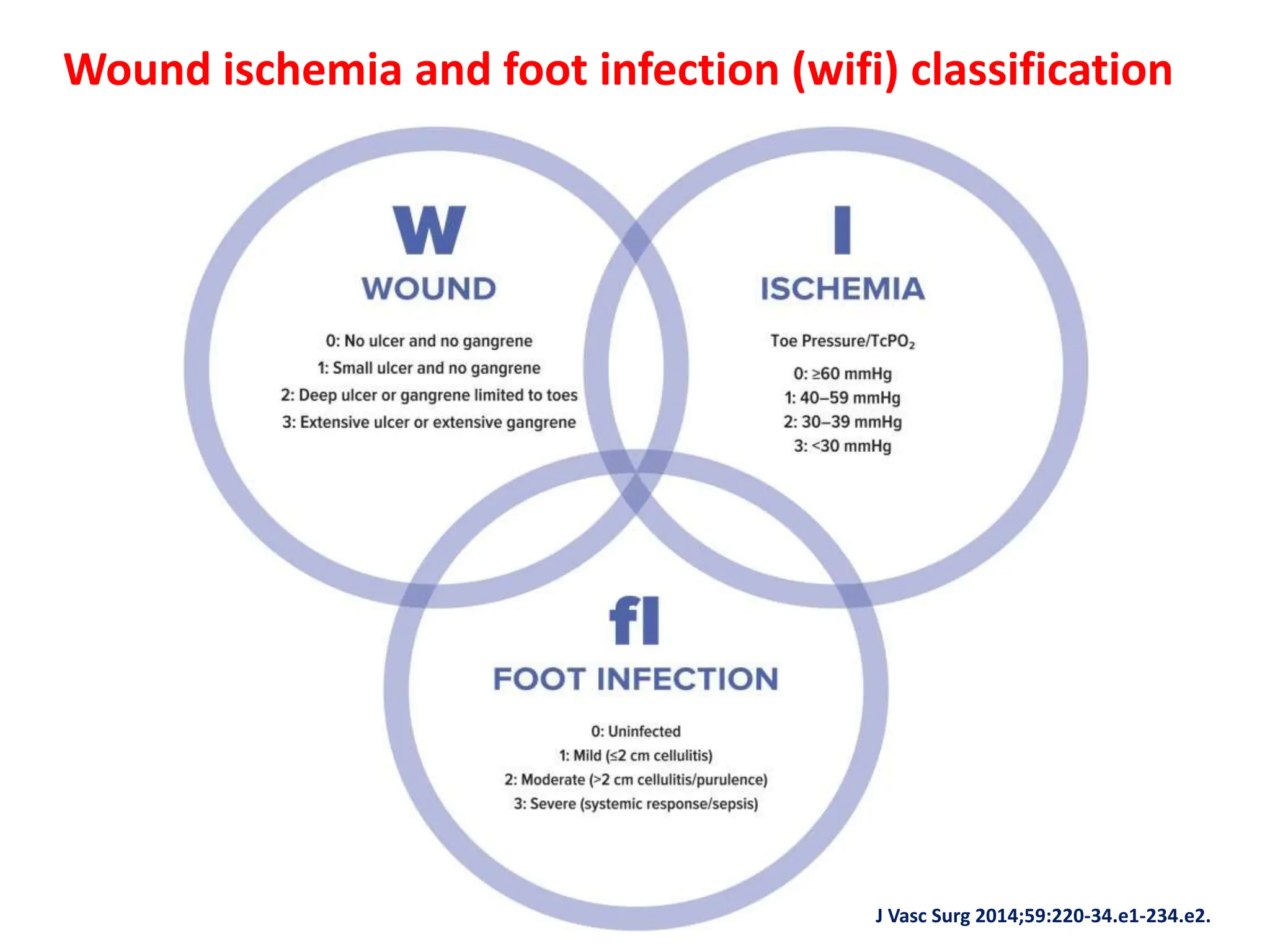 Diabetic Foot slide show vascular surgery | PPTX