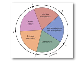 Diabetic Foot slide show vascular surgery | PPTX