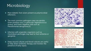 Diabetic Foot Ulcer.pptx