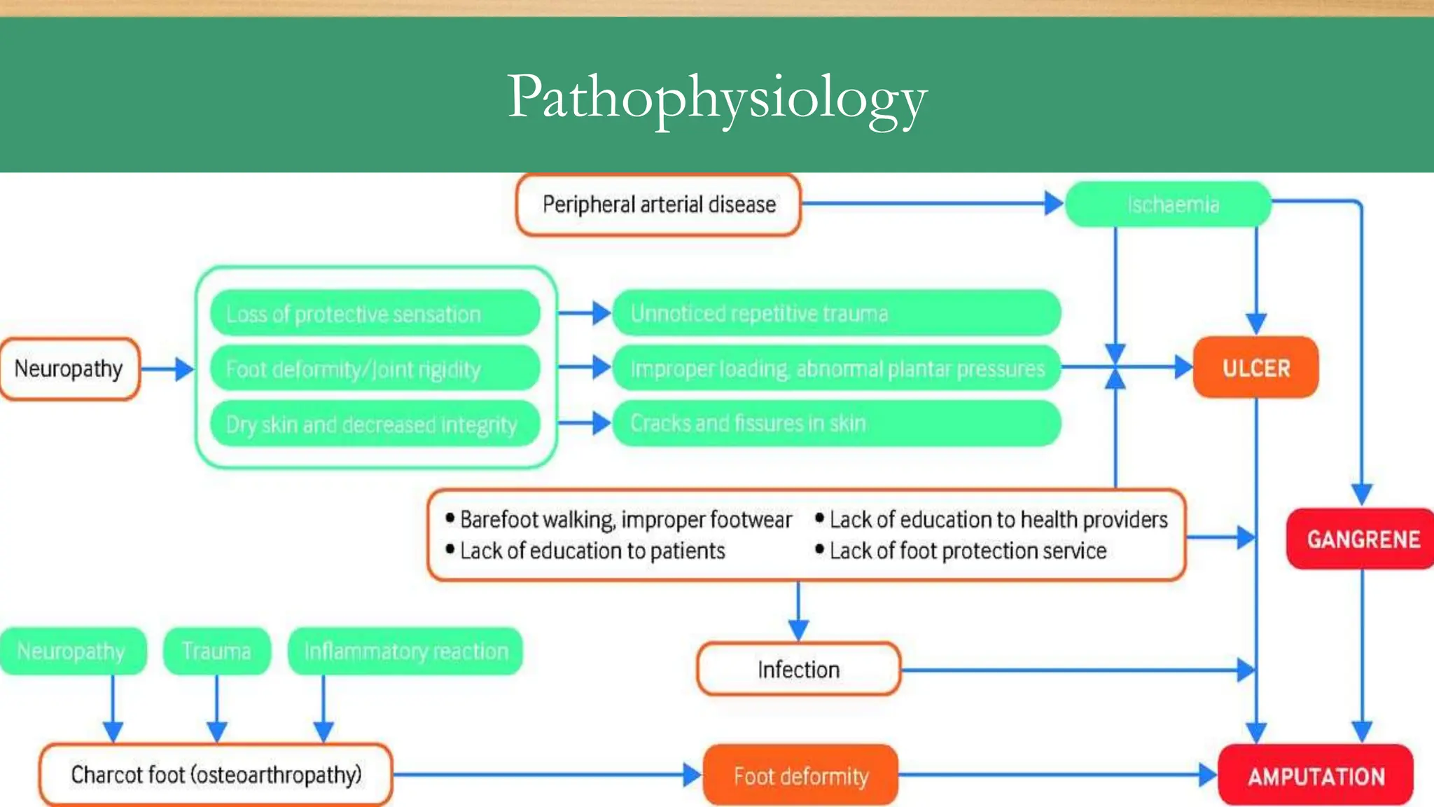 diabetic foot ulcer classification management .pptx