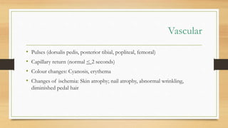 diabetic foot ulcer classification management .pptx