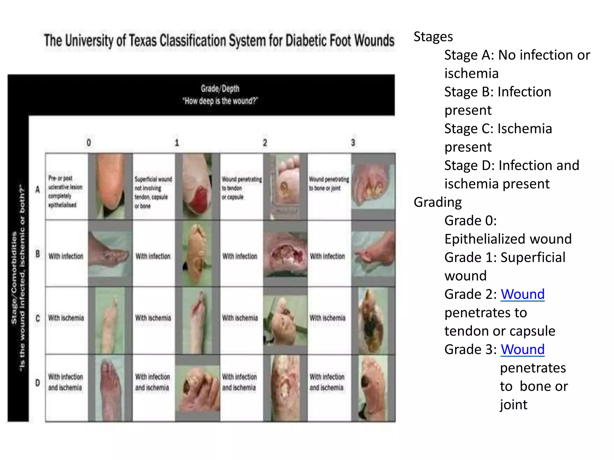 DIABETIC FOOT ULCER AND SOFT TISSUE INFECTIONS-converted.pdf
