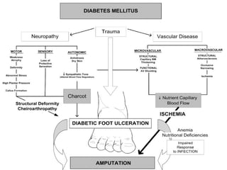DIABETIC FOOT ULCER clinical features and management | PPTX