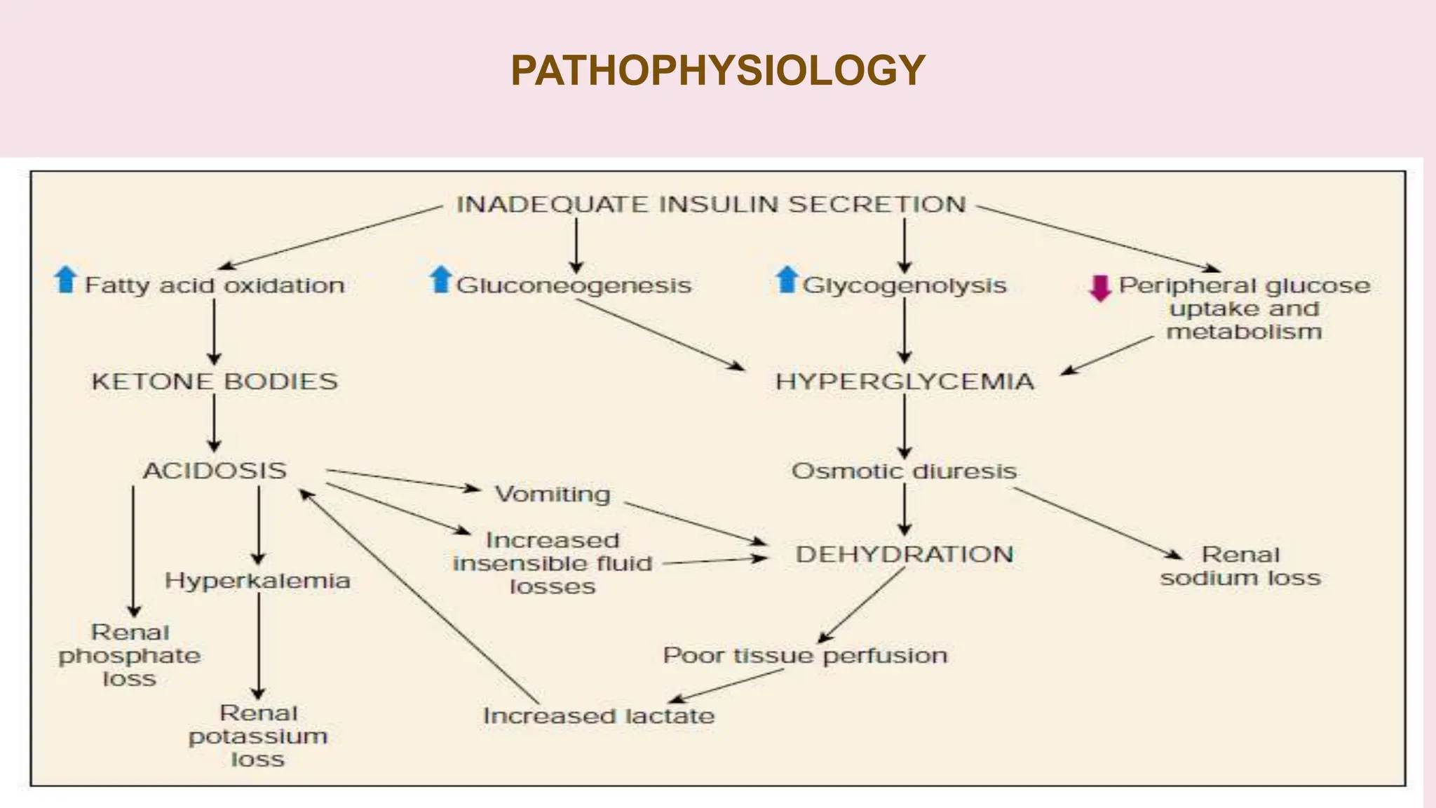 type 1 diabetes diabetic ketoacidosis.pptx