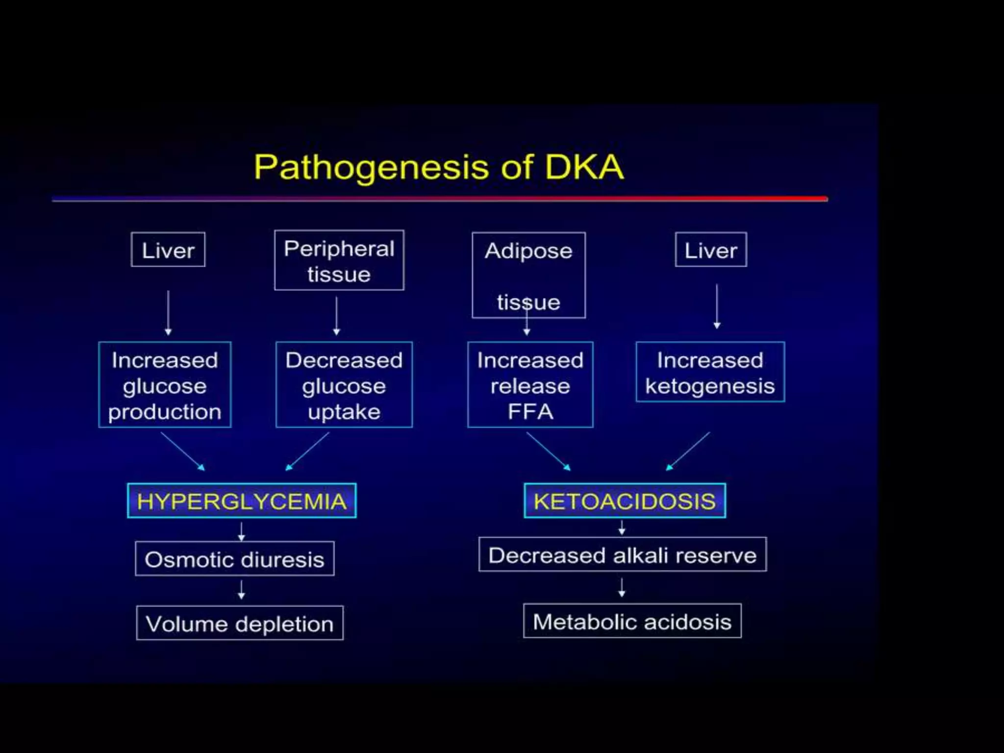DIABETIC KETOACIDOSIS 2023.pptx