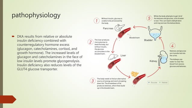 Diabetic ketoacidosis and hyperosmolar hyperglycemic state.pptx