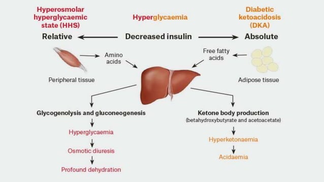 Diabetic ketoacidosis and hyperosmolar hyperglycemic state.pptx