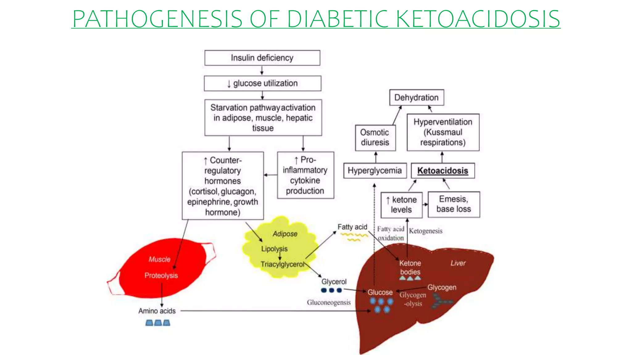 DIABETIC KETOACIDOSIS (DKA).pptx