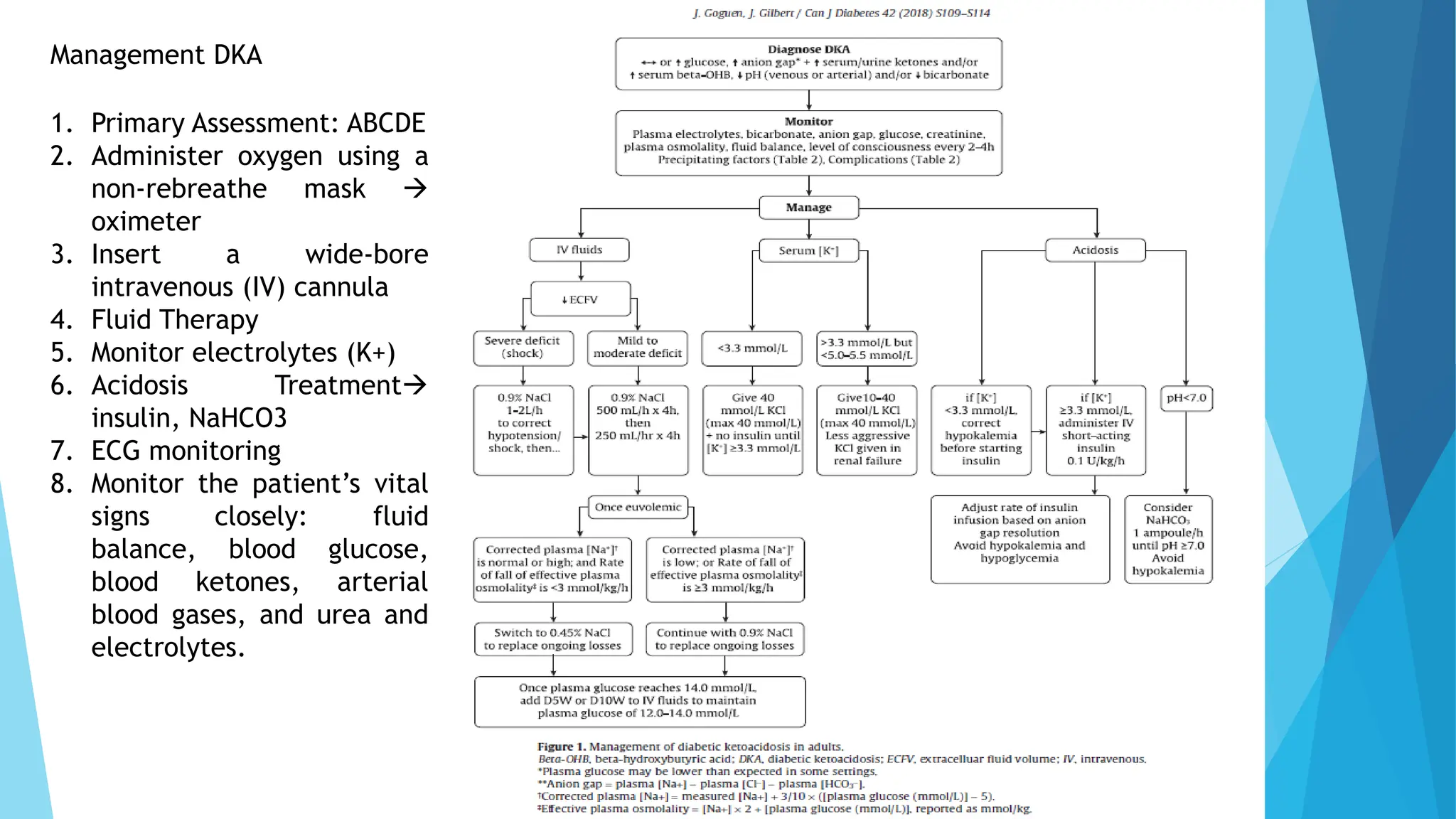 Diabetic Ketoacidosis ok banget PowerPoint.pdf