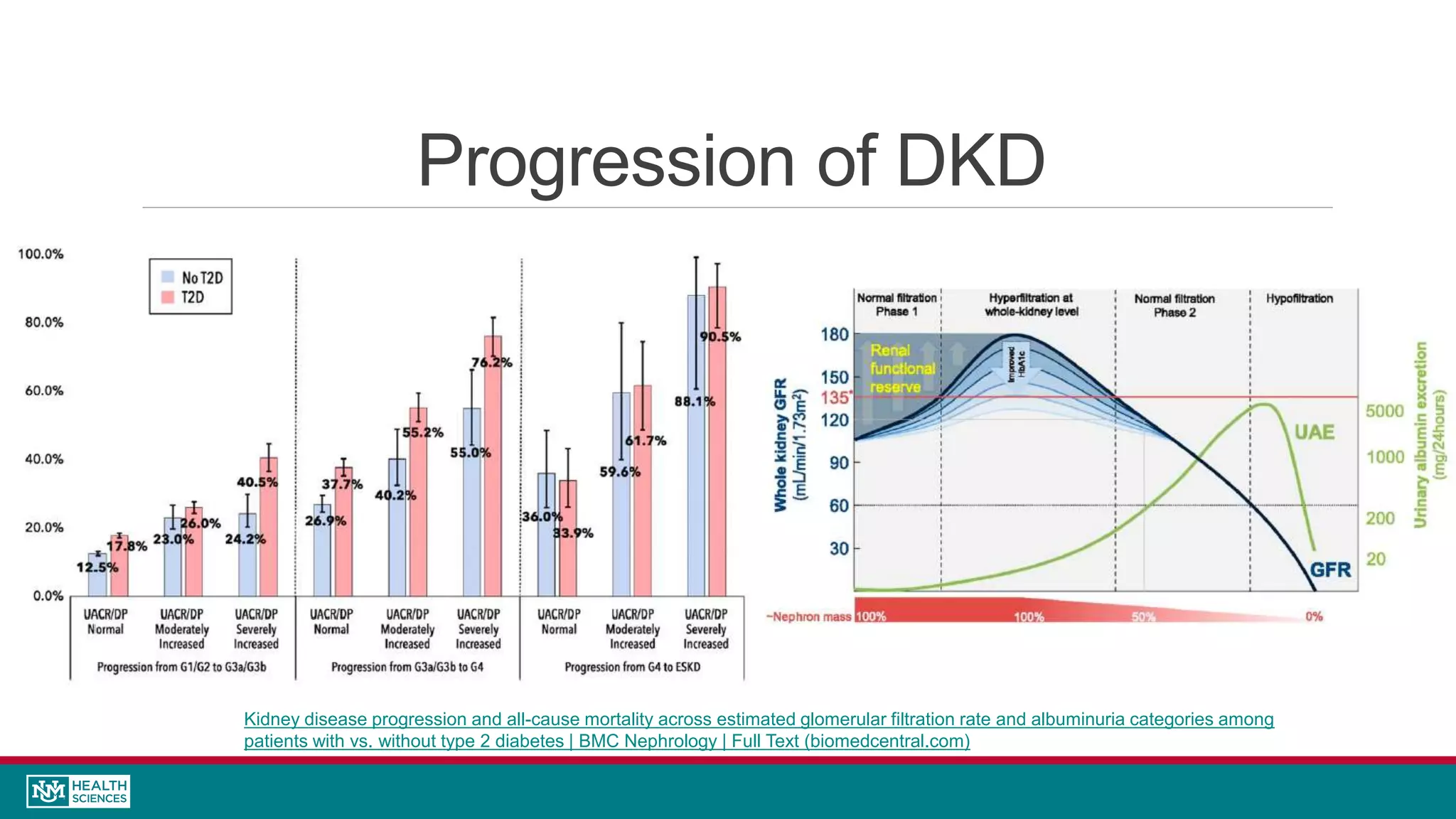 Diabetic kidney disease 2021 | PPTX