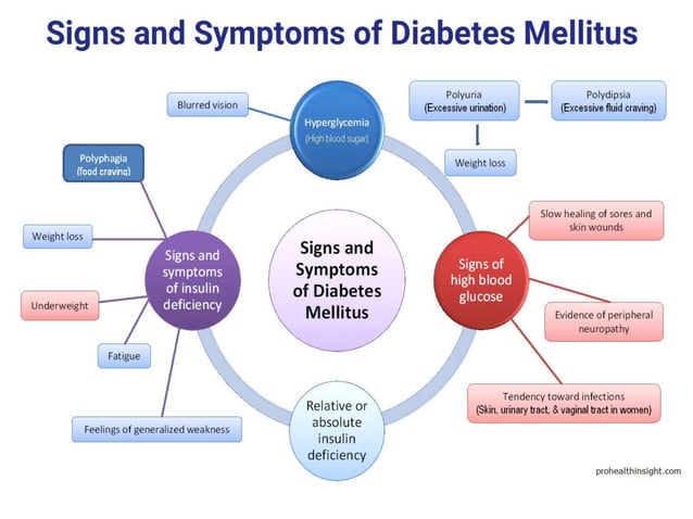 Diabetic mellitus pathophysiology | PPTX