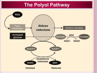 Diabetic nephropathy | PPT