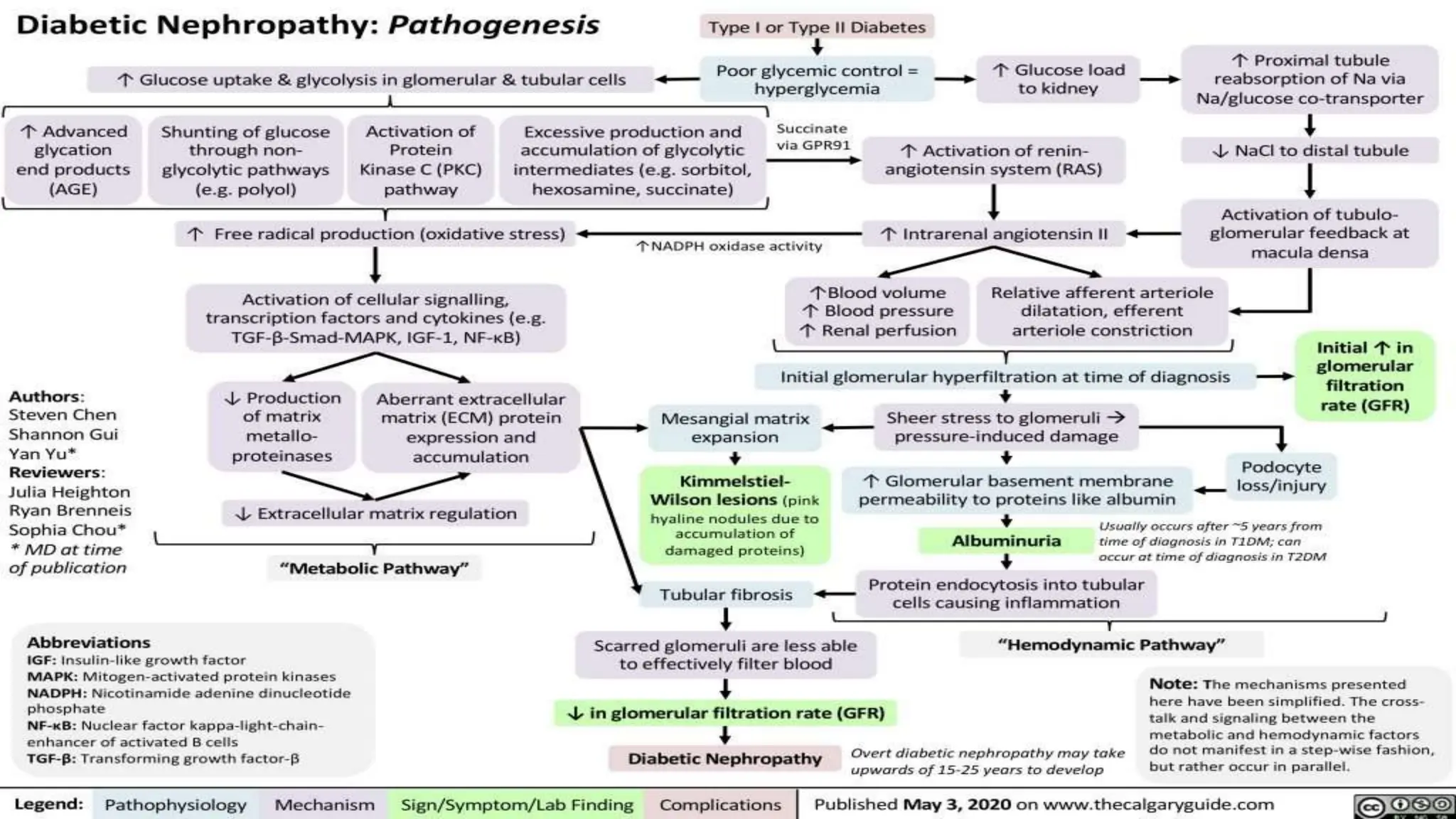 Diabetic Nephropathy.pptx